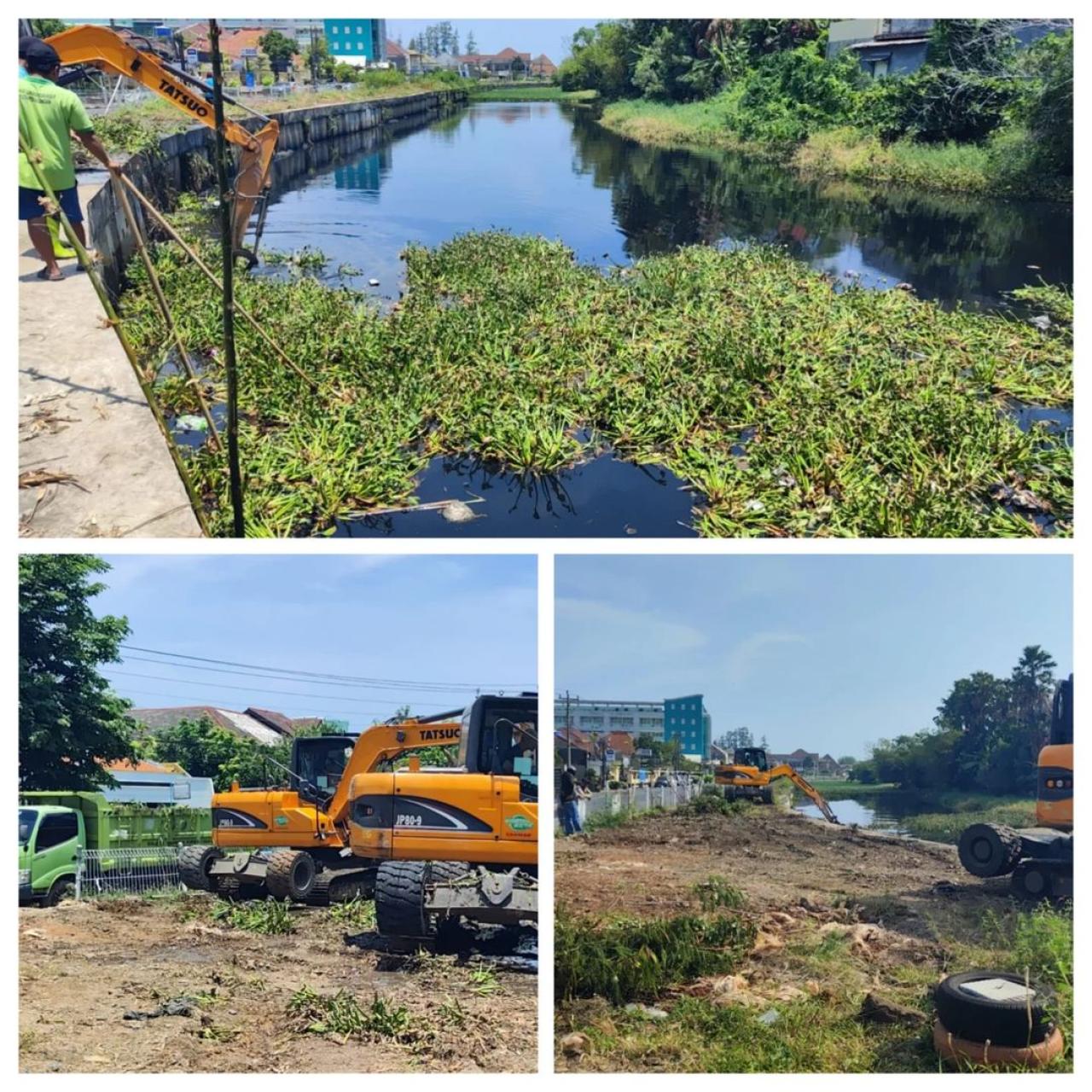 Lanjutan Pembersihan Enceng Gondok di Sungai Loji Pekalongan - Dinas Lingkungan Hidup Kota ...